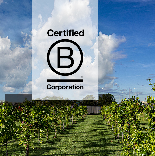Florim ottiene la certificazione B Corp - ceramica.info